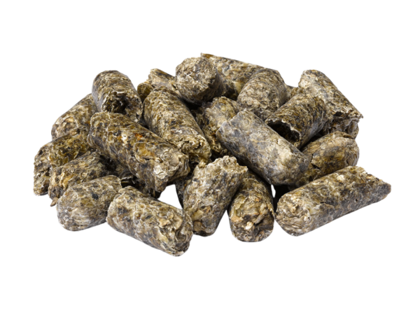 Home - Trident Feeds