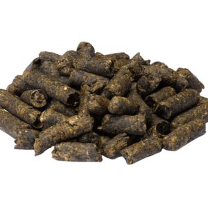 Supabeet - Trident Feeds