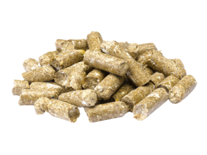 Home - Trident Feeds