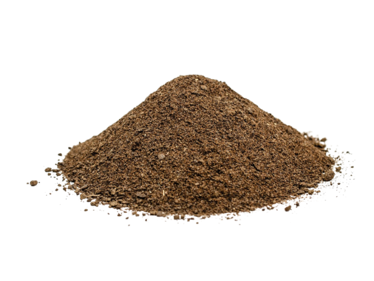 Home - Trident Feeds